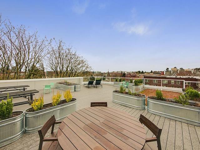 Seventeen Fifteen | 1715 12th Ave Seattle WA 98122 Studio Apartment for Rent at 1715 12th Ave, Seattle, WA 98122 Broadway