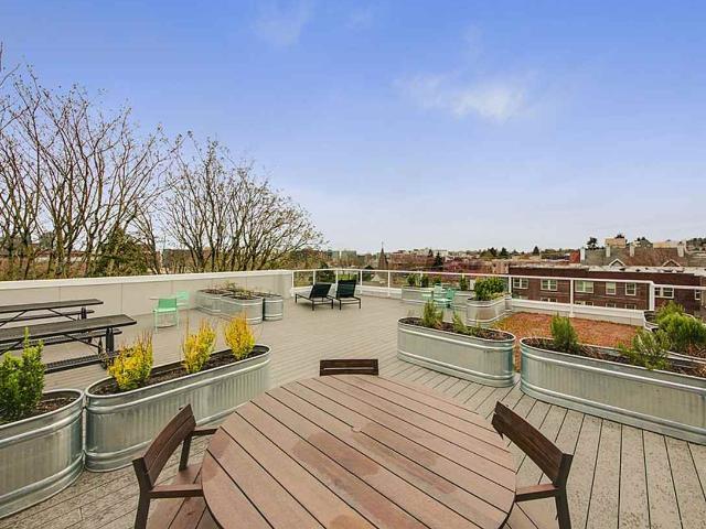 Seventeen Fifteen | 1715 12th Ave Seattle WA 98122 Studio Apartment for Rent at 1715 12th Ave, Seattle, WA 98122 Broadway