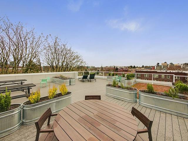 Seventeen Fifteen | 1715 12th Ave Seattle WA 98122 Studio Apartment for Rent at 1715 12th Ave, Seattle, WA 98122 Broadway