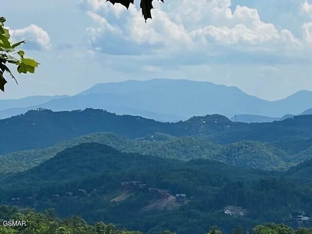 Sevierville, TN