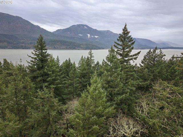 Seward Rd, Carson, WA 98610