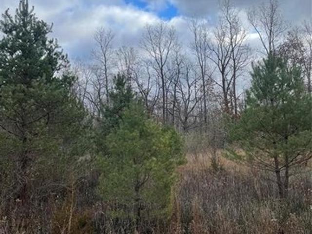 Seymour Rd, Argentine, MI 48451