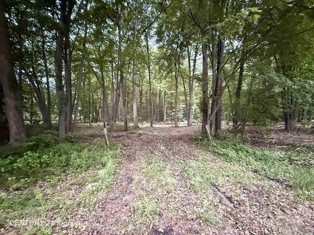 Seymour Rd, Burt, MI 48417