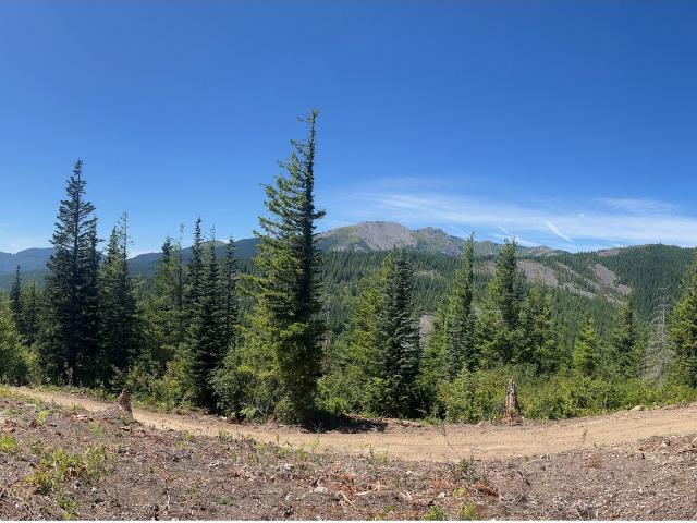 Skamania Mines Rd # 2540