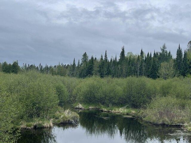 Skedgell Rd, Cary Plt, Plot For Sale