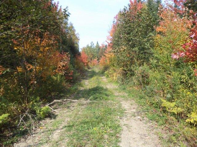 Skedgell Rd, Cary Plt, Plot For Sale