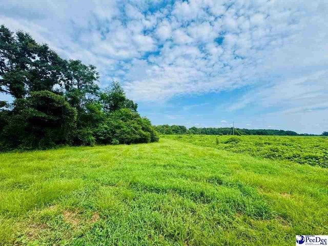 Skeeter Ln, McColl, SC 29570