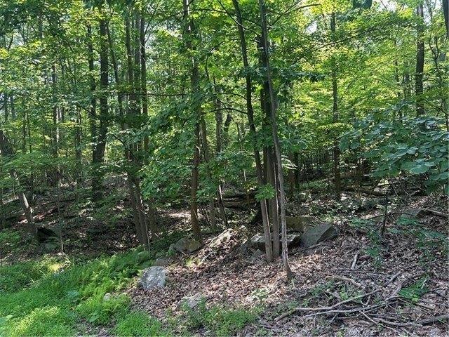 Ski Slope Rd Lot 934, Acme, PA 15610