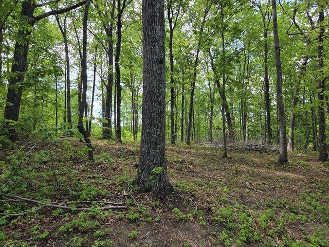 Ski View Dr, Dunlap, TN 37327