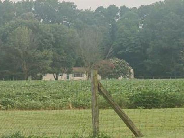 Skinners Run Rd
