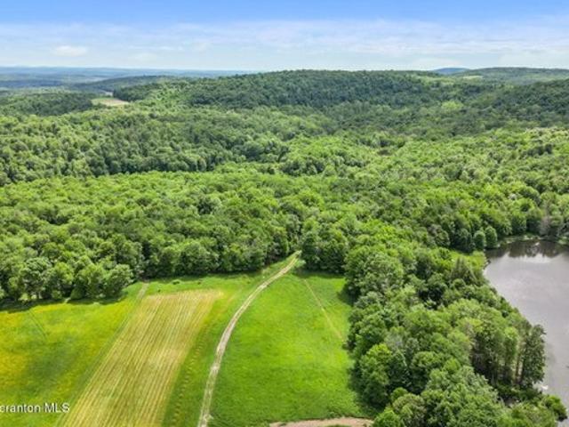 Skinny Dip Ln, Pleasant Mount, PA 18453