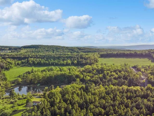 Skunks misery lot 3 road