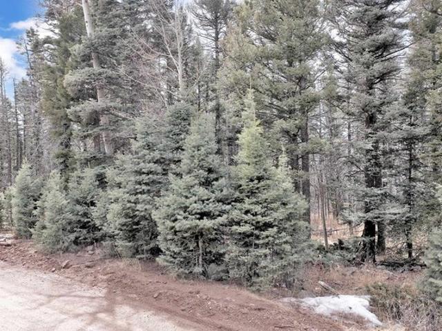 Skyview Overlook Lot 1368, Angel Fire, NM 87710