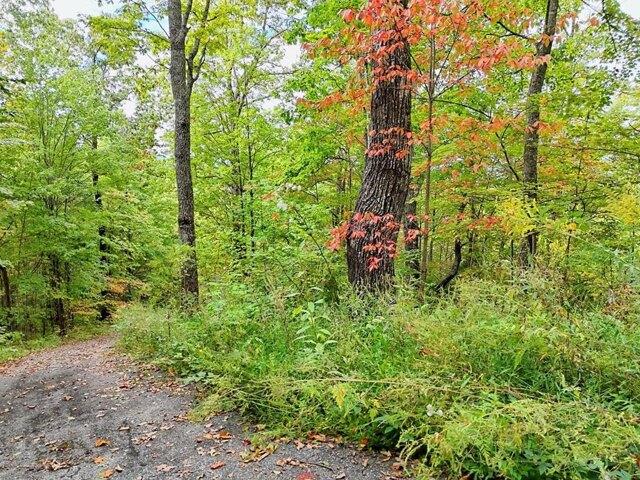 Skyview Overlook Lot,hayesville, Plot For Sale