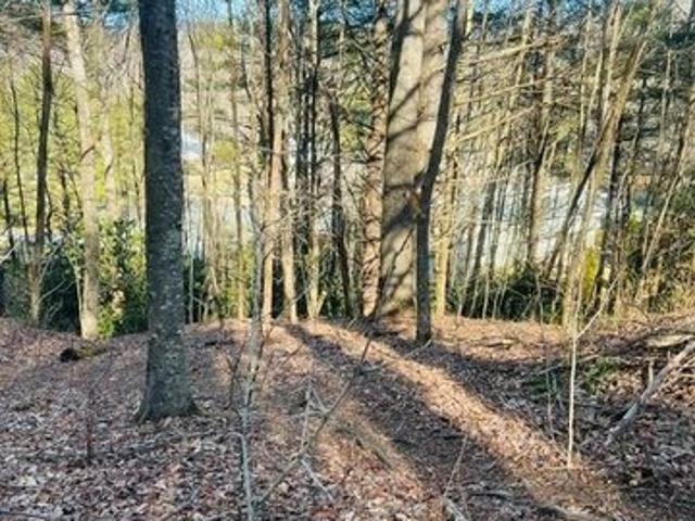 Skyview Ln, Banner Elk, NC 28607