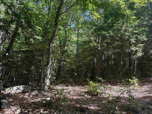 Sky Ln, Wolfeboro, Plot For Sale