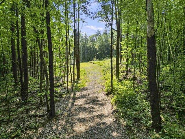 Skyboro Rd, Pownal, Plot For Sale