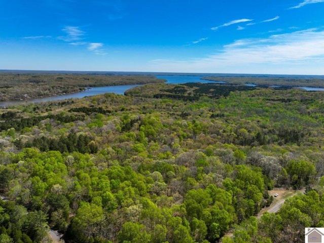 Skylark in Documents Rd Lot Listing, Murray, KY 42071