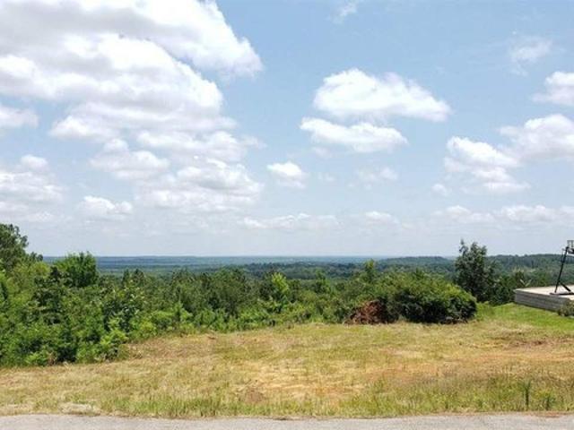 Skyline Dr, Brownsboro, TX 75756