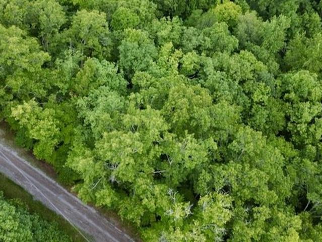 Skyline Dr, Smithville, TN 37166