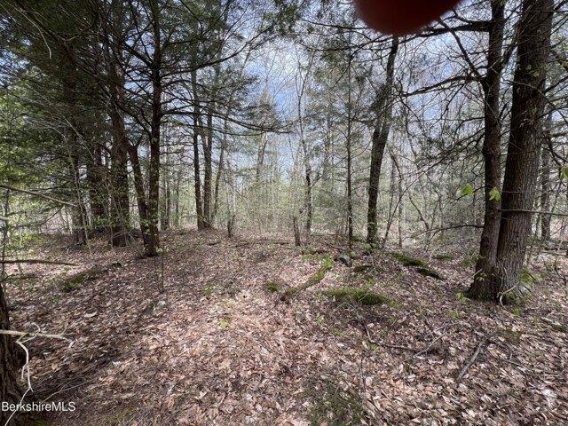 Skyline Ridge Rd Lot,becket, Plot For Sale