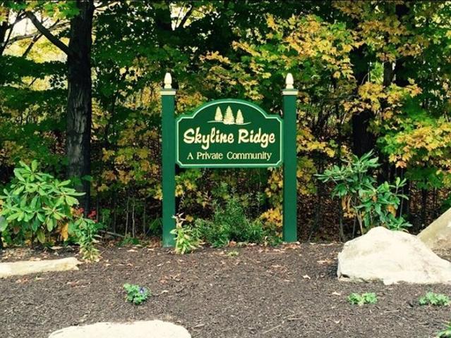 Skyline Ridge Rd Lot,becket, Plot For Sale