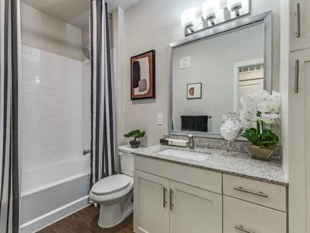 Skyline Trinity 1 Bedroom Apartment for Rent at 1900 N Beckley Ave, Dallas, TX 75208