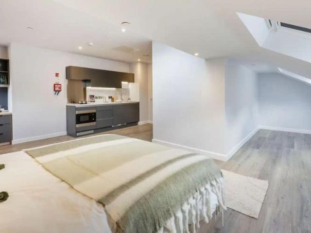 Skylight Plus Studio