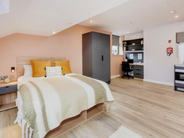 Skylight Plus Studio