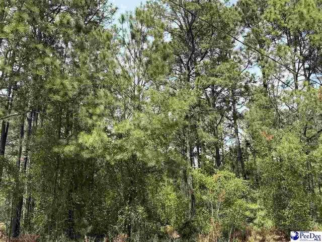Skylite Dr, Dillon, SC 29536