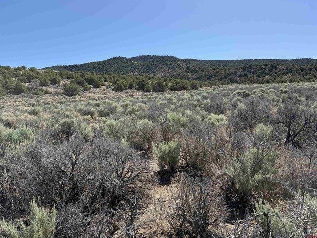 Sh Highway 159, Garcia, CO 81152