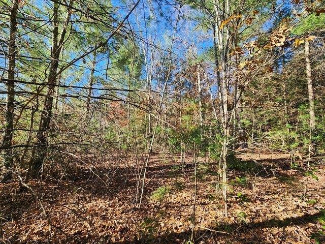 Shotgun Annie Rd Lot 25, Jamestown, TN 38556