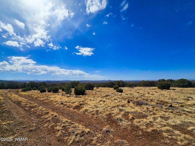 Show Low Pnes Lots 468 & 3, Concho, AZ 85924