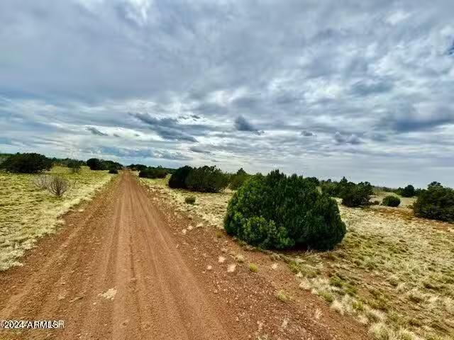 Show Pines Unit 10 Lots 205 & 206 Unit, Concho, AZ 85924 MLS#.