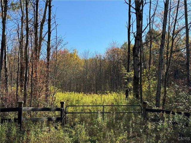 Shoemaker Rd, Van Etten, NY 14889