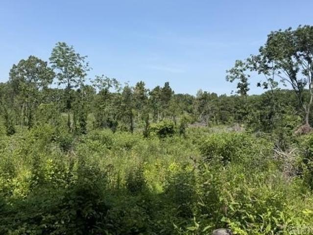 Shook Ln, DeWitt, AR 72042