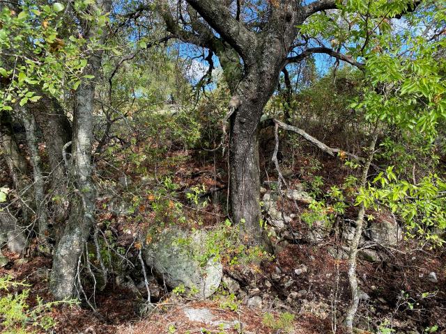Shooting Star, Lot 28, Lometa, TX 76853 | MLS #1033