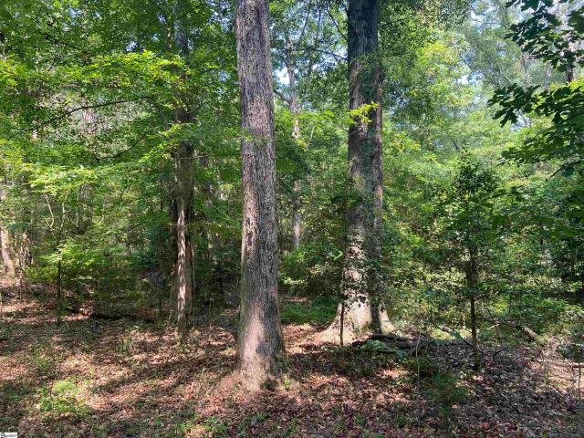 Shop Dr, Fountain Inn, SC 29644 | MLS #1580