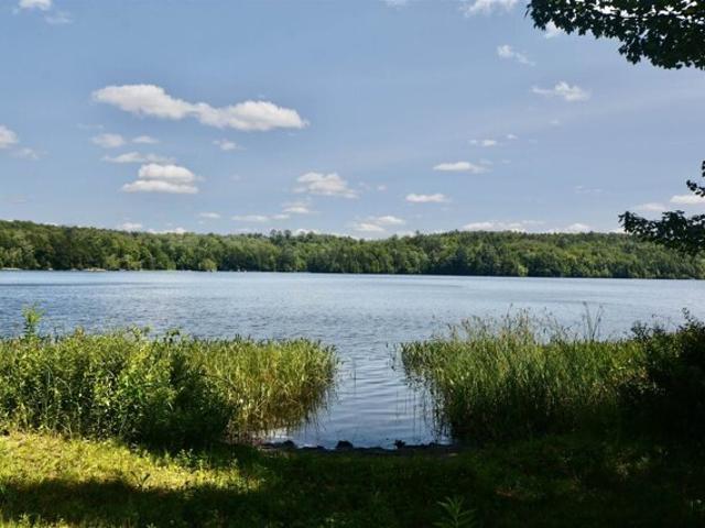 Shore Rd, Grantham, Home For Sale
