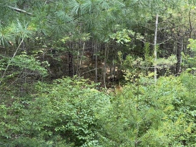Shore Rd Lot,bremen, Plot For Sale