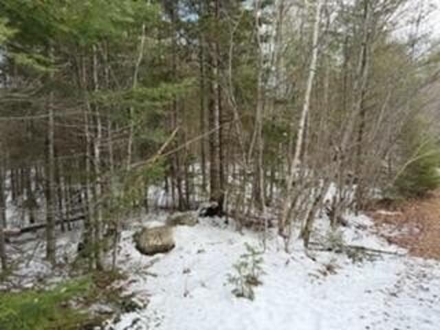 Shore Rd Lot,bremen, Plot For Sale