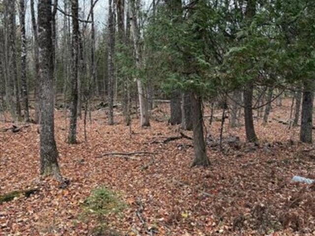Shore Rd Lot,dexter, Plot For Sale