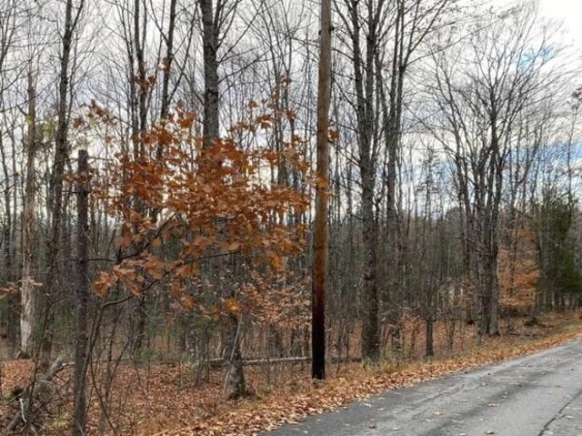 Shore Rd Lot,dexter, Plot For Sale