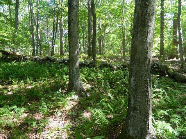 Shore Rd, Old Lyme, Plot For Sale