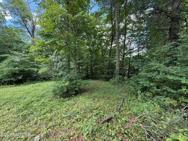 Shoreline Circle, LaFollette, TN 37766