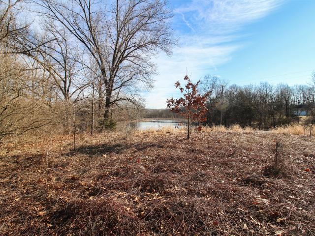 Shorewood Lot 1 Drive