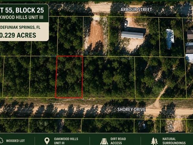 Shorey Dr Lot 55, Defuniak Springs, FL 32433