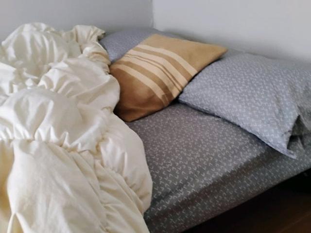 Short term furnished room in large 3 bedroom