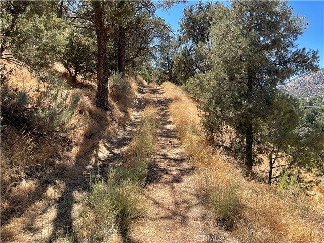 Short Trl, Frazier Park, CA 93225