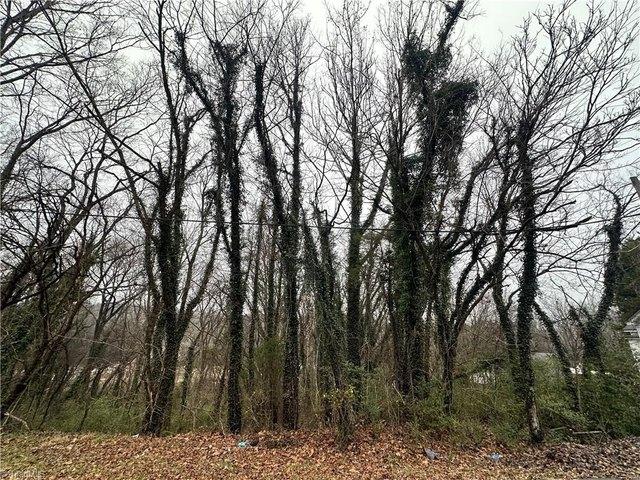 Short Morgan St, Eden, NC 27288